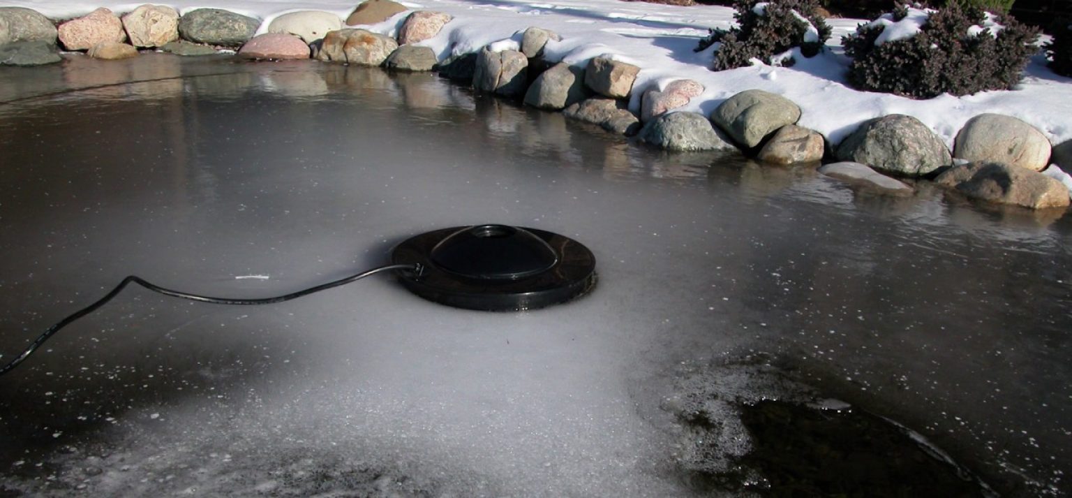 6 Best Pond Heaters Reviewed (Winter 2026)