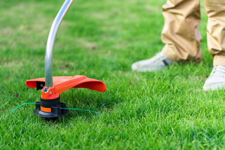 10 Best Weed Eaters Reviewed (Fall 2023)
