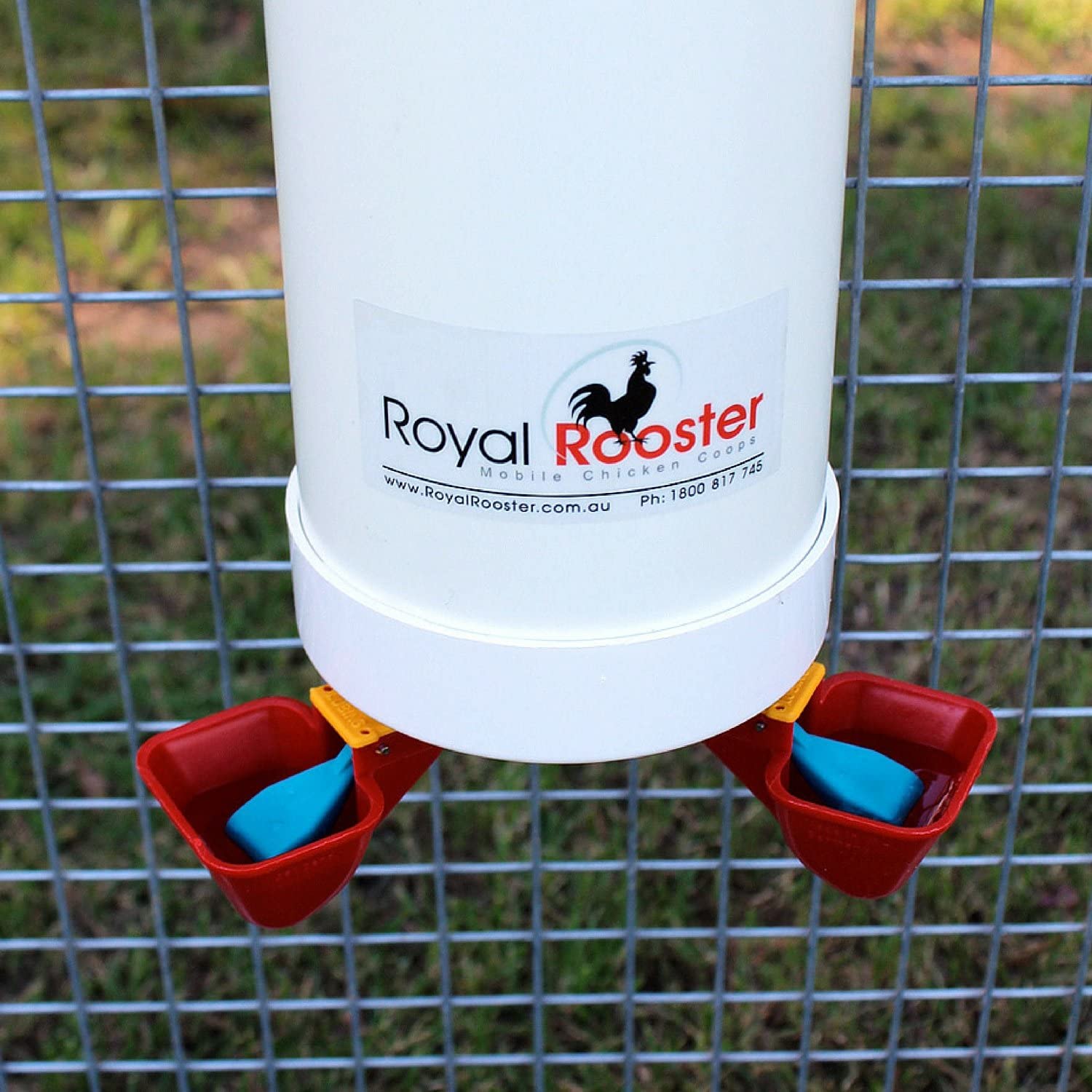 6 Best Chicken Feeders Reviewed (Aug. 2021)