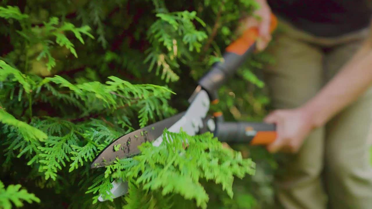 9 Best Hedge Shears Reviewed (Winter 2025)