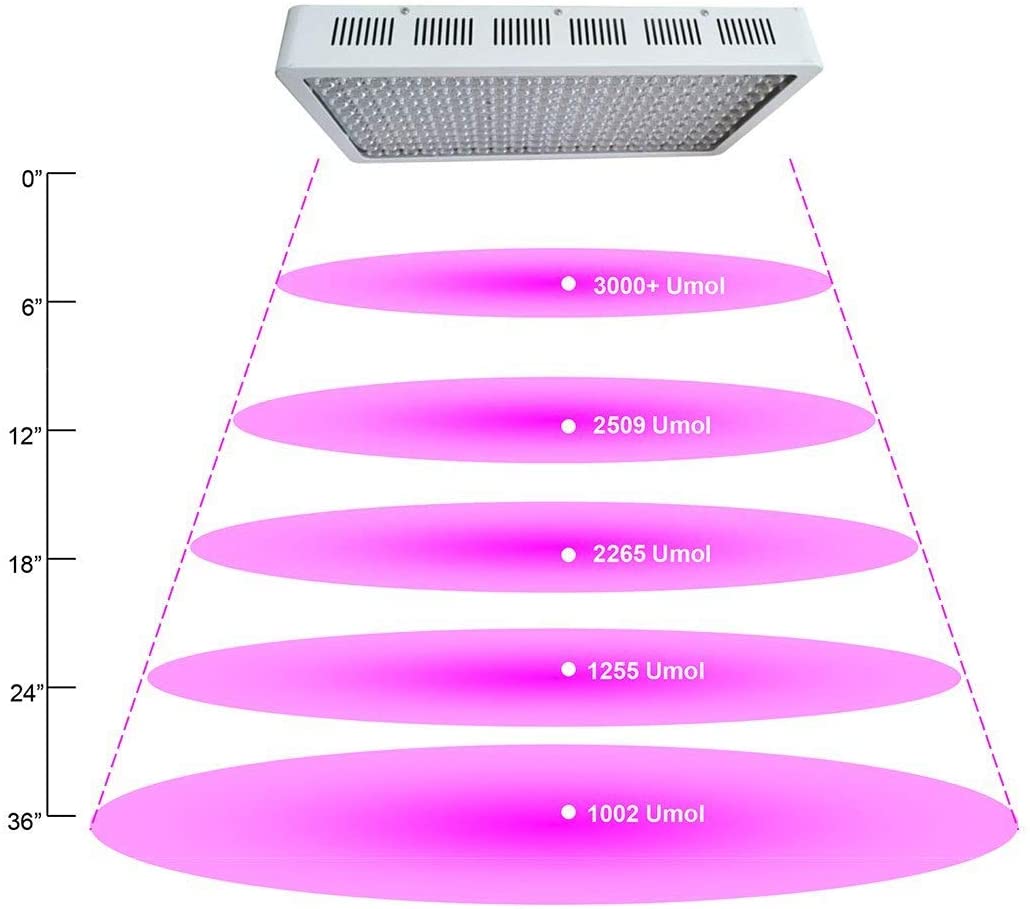 8 Best 1000-Watt LED Grow Lights Reviewed (Jul. 2021)