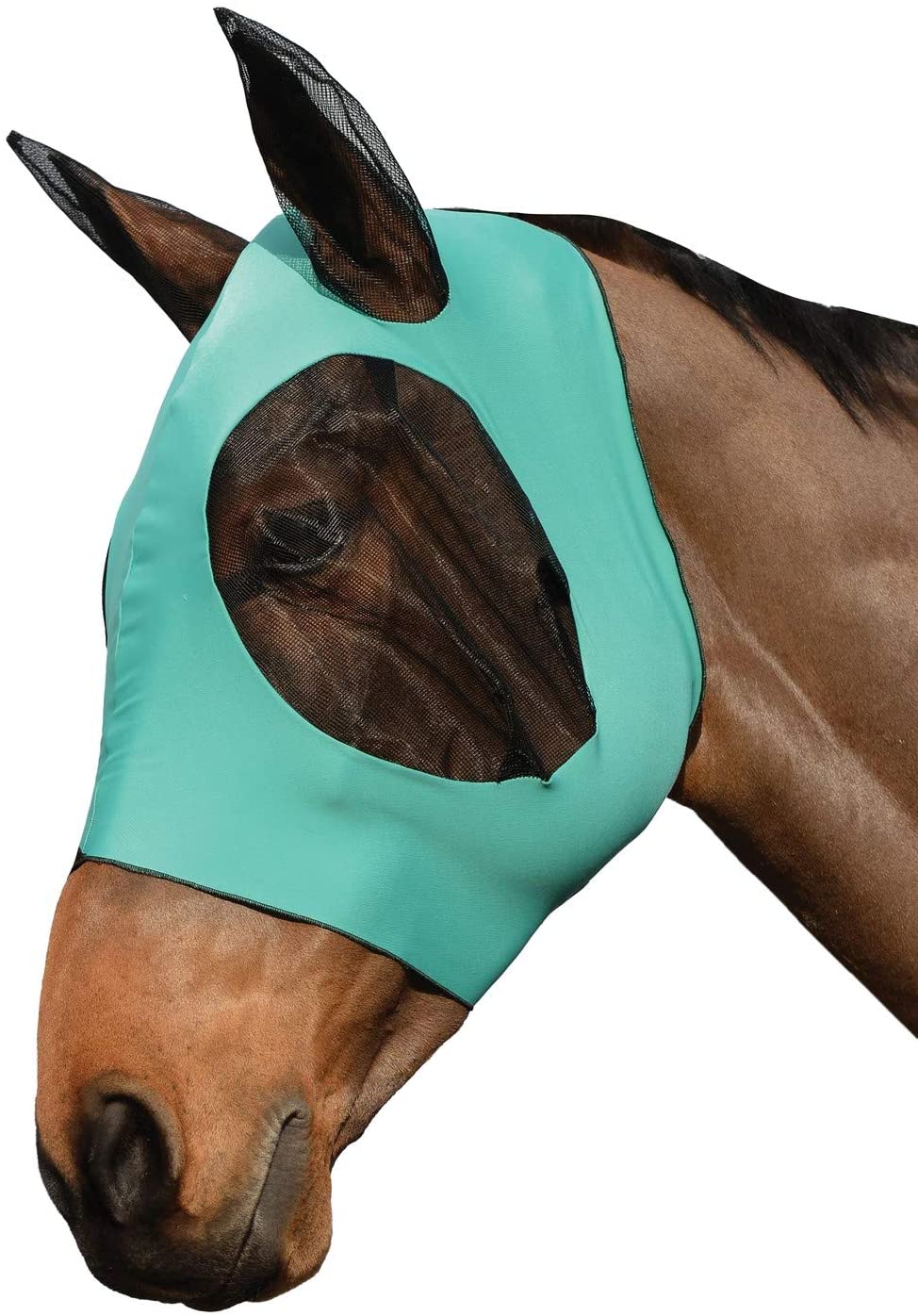 6 Best Fly Masks for Horses Reviewed (May 2021)