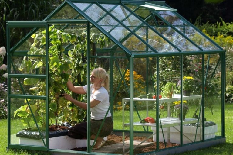 Greenhouse Sizes: Everything You Need to Know