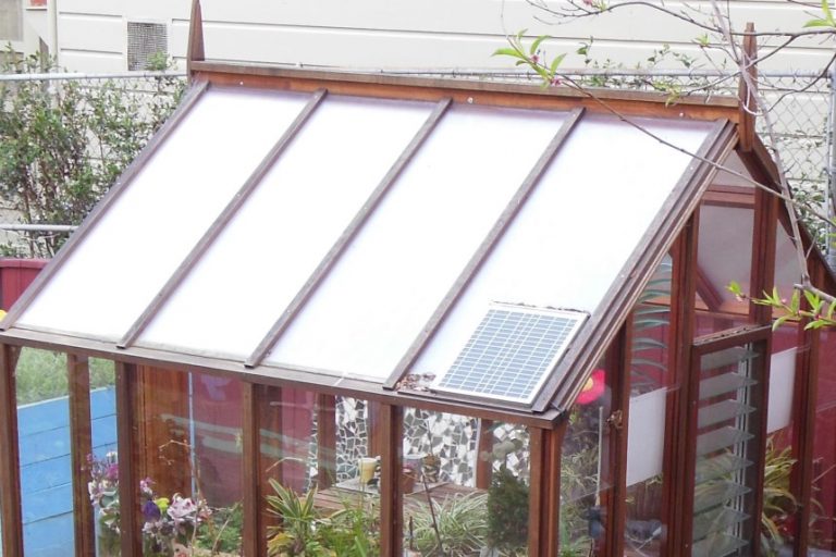 Greenhouse Sizes: Everything You Need to Know